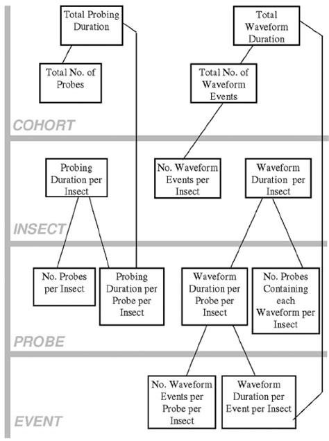 Hierarchy Of Heuristic Relationships Among Waveform Parameters At Four Download Scientific