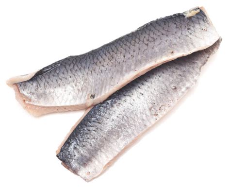 40500 Ikan Haring Foto Stok Potret And Gambar Bebas Royalti Istock