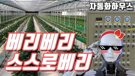 자기의 일은 스스로 하자 ♬♪ 스마트 딸기 하우스에서 사람이 할 일은 🙄 Youtube