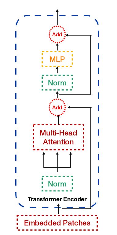 Schematic Diagram Of Vision Transformer Encoder Download Scientific