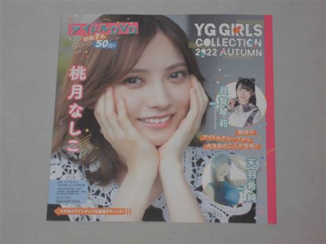Yahooオークション ヤングガンガン19号 付録dvd 個数9 桃月なしこ
