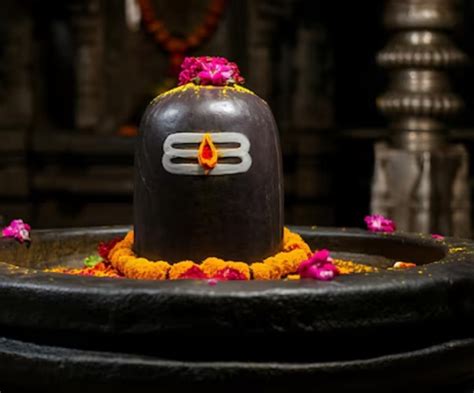 Shivling Puja Niyam शिवलिंग पूजा में वर्जित मानी गई हैं ये चीजें नहीं
