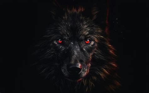Wolf 1 Digital Art By Vlastimil Sestak Fine Art America