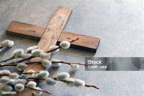 고양이와 부활절 나무 십자가 야자 일요일 종교 개념 추상 기도하기에 대한 스톡 사진 및 기타 이미지 기도하기 봄 종려 주일 Istock