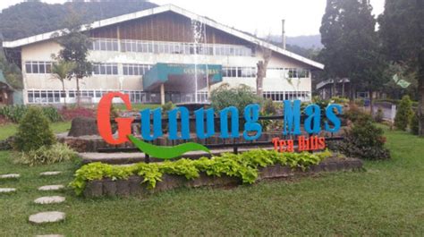 Harga Tiket Masuk Agrowisata Gunung Mas Bogor Terbaru Trip Jalan Jalan