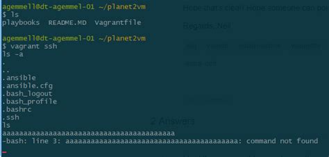 No Command Prompt Within Vagrant Ssh In Minttycygwin Stack Overflow