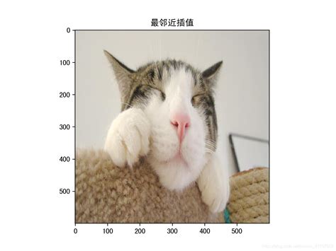 详解上采样的两种常用方法（附以tensorflow 2x实现的小demo）tensorflow 上采样 Csdn博客