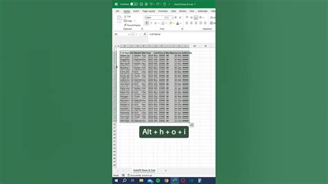 How To Instantly Autofit Rows And Colomns Cheatshests Excel Exceltips