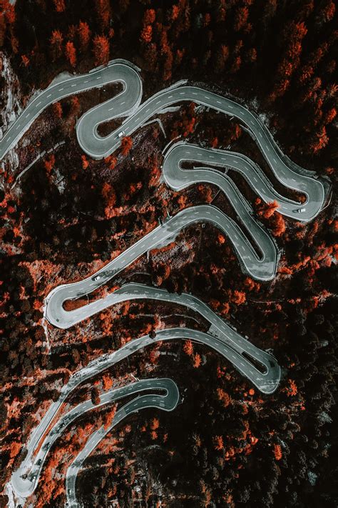 Spatial Navigation Sex Hormones And The Aging Brain