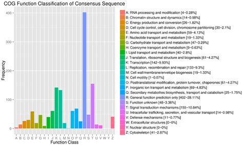 Cog Function Classification Of The Annotated Degs 938 Annotated Degs Download Scientific