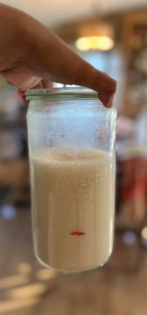 How To Make Sourdough Starter How To Make Sourdough Bread