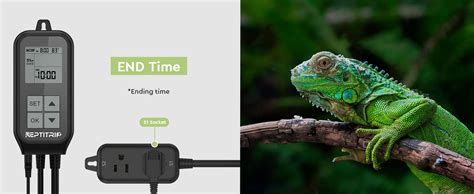 Reptitrip Reptile Thermostat Reptile Light Timer For Temperature And Lighting