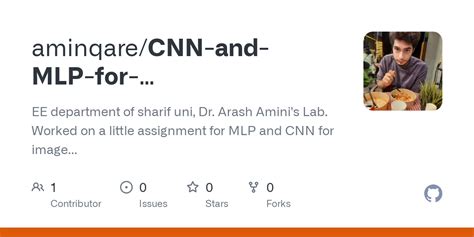 GitHub Aminqare CNN And MLP For ImageClassification EE Department Of