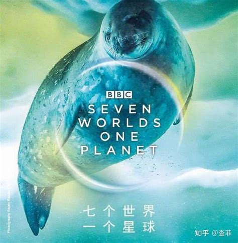 记录纪录片 《七个世界一个星球》第一集 南极洲 知乎
