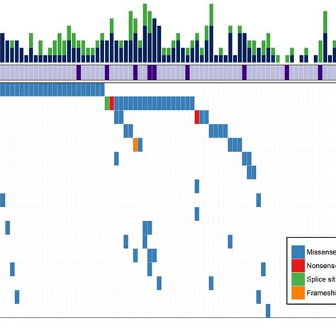 Recurrently Mutated Genes In Her2 Positive Luminal B Bc Each Column