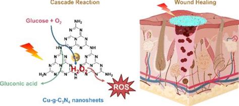Single Atom Cu Anchored On Carbon Nitride As A Bifunctional Glucose Oxidase And Peroxidase