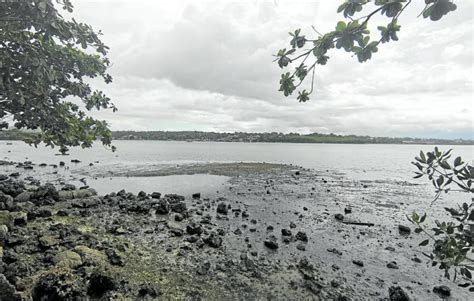 3 Coastal Areas In Visayas Mindanao Positive For Red Tide Inquirer News