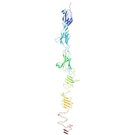 Rcsb Pdb 7zqb Tail Tip Of Siphophage T5 Full Structure