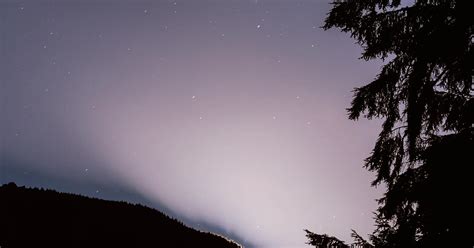 A Brief Intro To Rxjs