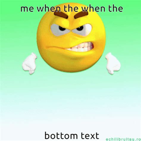 Me When The When The Meme Me When The When The Bottom Text  Me