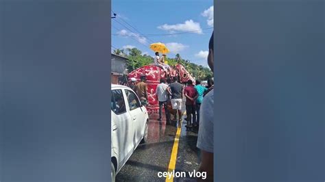 මට වතුර හම්බුනා උඩ ඉන්න නිළමේටත් ටිකක් ඔන්න 🐘🐘🐘 Youtube