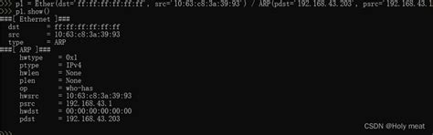 基于Scapy的传统网络攻击实现 使用scapy伪造源ip发送udp包 在python下使用scapy可以实现伪造源ip发送数据包的目 CSDN博客
