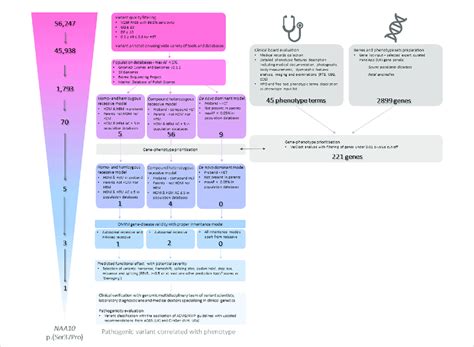 The Workflow Of The Whole Exome Sequencing WES Data Processing Download Scientific Diagram