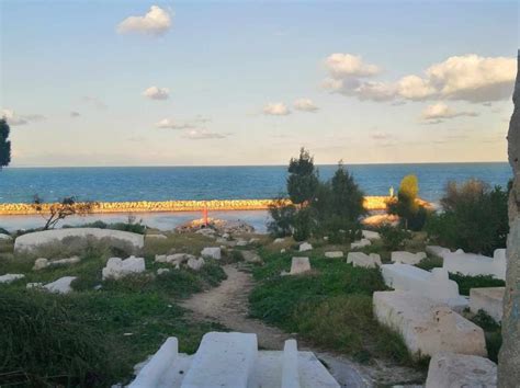 Things To Do In Hergla The Coastal Hidden Gem Wildyness