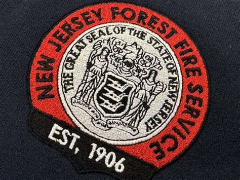 Professional Embroidery Digitizing Logo Files Wilcom Embridery Dst