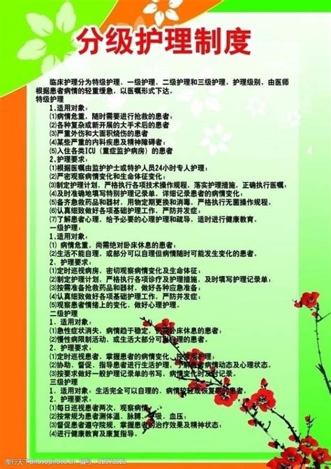 分级护理制度的内容 随意云