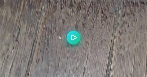 4 5 6 c lo trick dice works sometimes lol i guess that s a good thing album on imgur