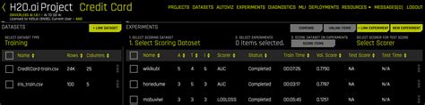 project workspace — using driverless ai 1 8 10 documentation