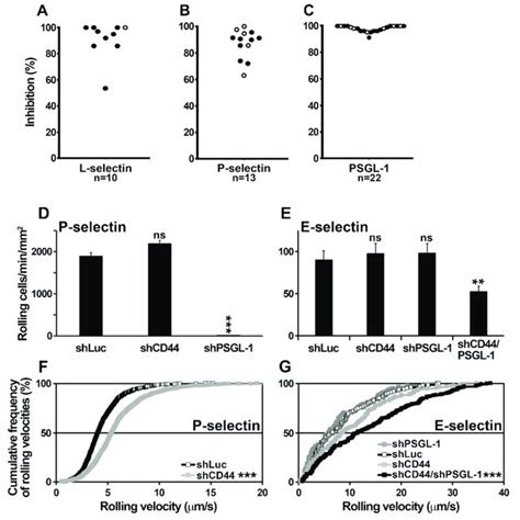 P Selectin Glycoprotein Ligand 1 Psgl 1 And Additional Ligands Download Scientific Diagram