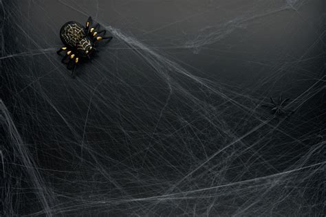 검은 배경에 인공 거미 줄과 거미의 장식 해피 할로윈과 공포 개념 평평한 평지 상단 보기 복사 공간 0명에 대한 스톡 사진 및 기타 이미지 Istock