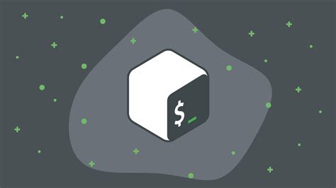 Bash Cheat Sheet Top 25 Command Bashful Scripting