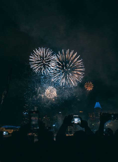 Firework Anxiety In Pets Tips For A Stress Free Celebration