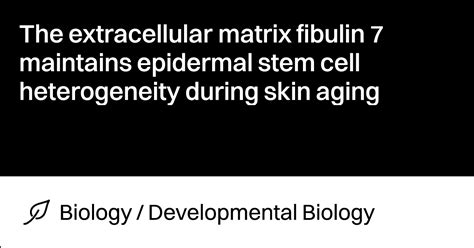 The Extracellular Matrix Fibulin 7 Maintains Epidermal Stem Cell Heterogeneity During Skin Aging