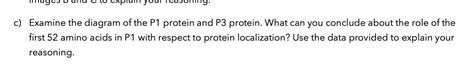 Solved Problem Explain Why It Would Be Incorrect To Chegg
