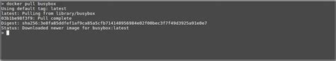 Using Docker Paranoid Professor