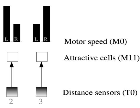 15 Architecture Of The Network Implementing The Tactile Approaching Download Scientific