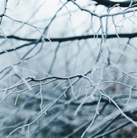 Nuecht Op De Méinden Éicht Flacken Am Norde Méigleg Météo Boulaide