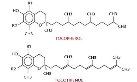 Chemical Structures Of Tocopherol And Tocotrienol Download