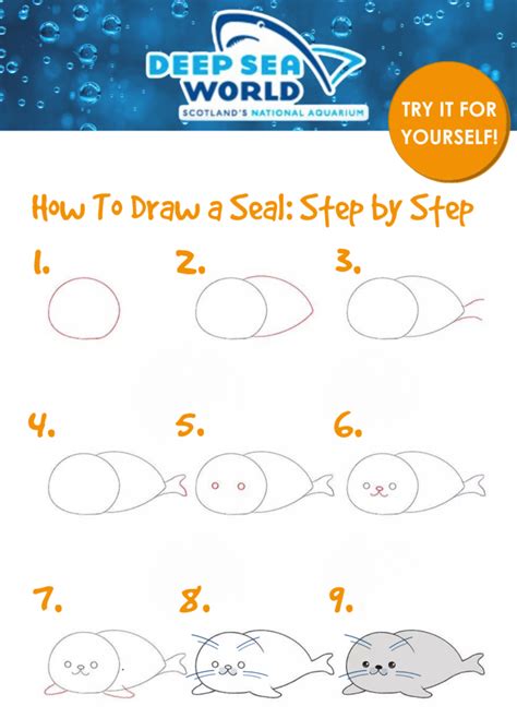 How To Draw A Seal Step By Step