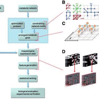 Workflow Of Data Integration Analysis And Experimental Validation A Download Scientific