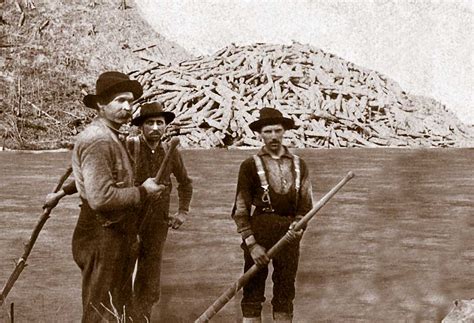 A Look Back In Time Eyewitness To Logging Adirondack Author