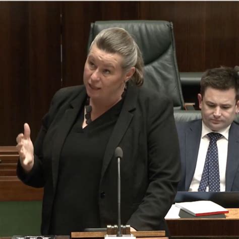 Promising Commitment By Shadow Minister For Health Anita Dow And Member