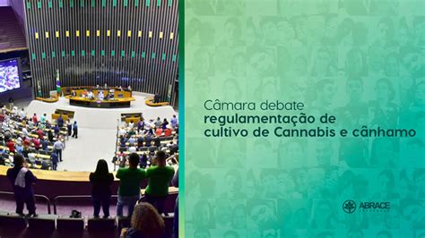 Câmara Debate Regulamentação De Cultivo De Cannabis E Cânhamo Abrace