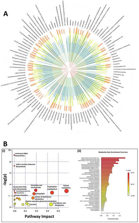 Metabolome Overview And Pathway Analysis A An Overview Of Serum