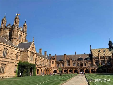 澳洲预科学什么？申请条件有哪些？升学途径是怎样的？ 知乎