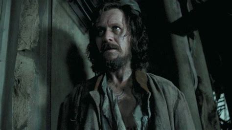 A New Look At Sirius Black In Harry Potter And The Prisoner Of Azkaban